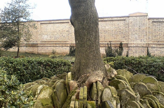 Exit strategy for a restless dead: The Hell Tree of St Pancras ...