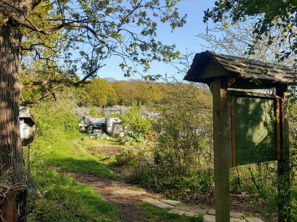 Sky-borne lights: The South Dulwich Woods Beacon – Portals of London